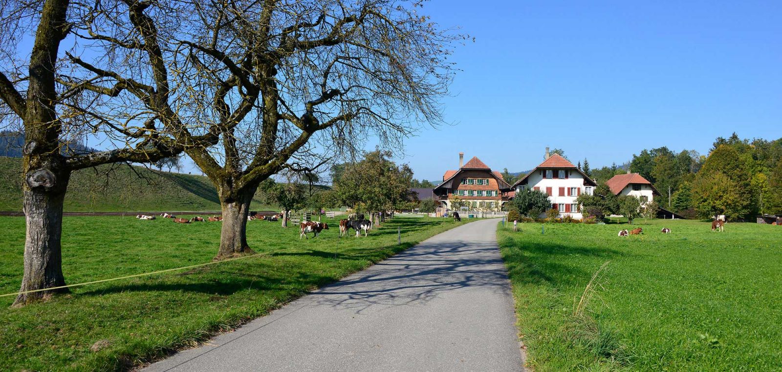 Home - Gemeinde Lauperswil