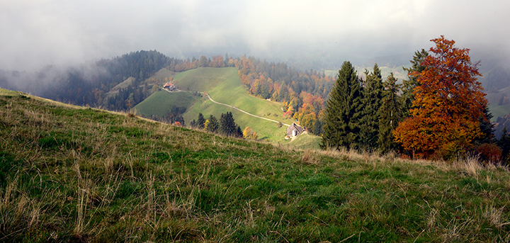 Links - Gemeinde Lauperswil